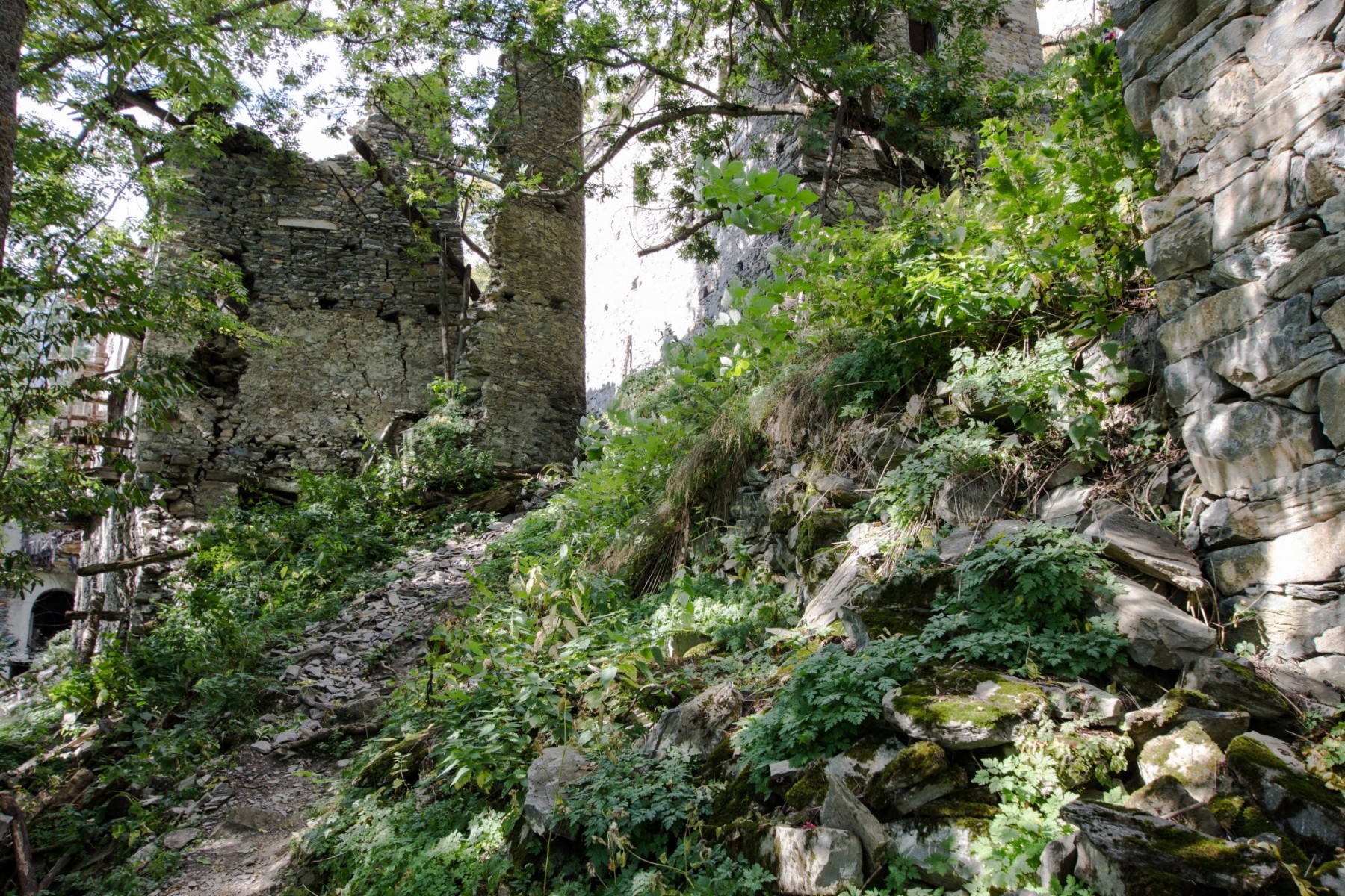 narrh-3173 - 1000miglia